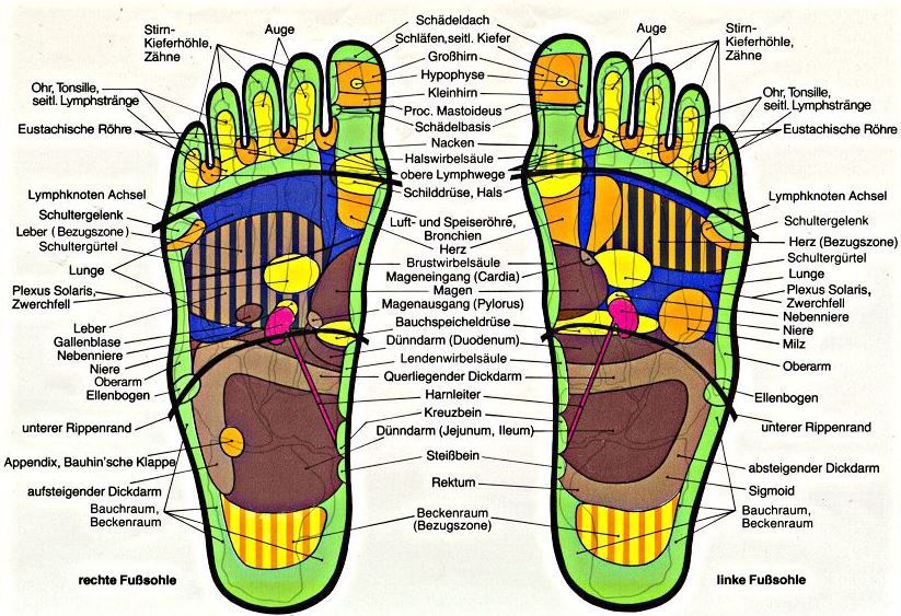 Fußreflexzonen- Therapie